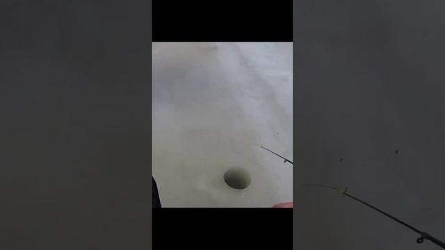 Уловистая снасть на Леща мормышка + мухомормыш
