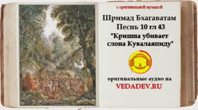 Шримад Бхагаватам Песнь 10 глава 43 "Кришна убивает слона Кувалаяпиду"
