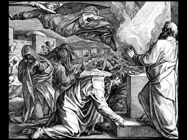 13.8 По страницам Библии - лекции доктора Мак Ги по первой книге Паралипоменон