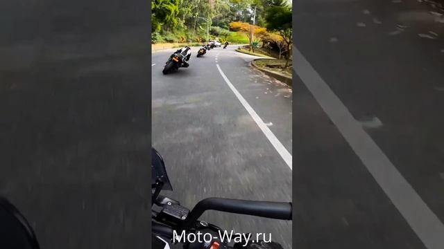 Красивый мото-прохват по серпантину.