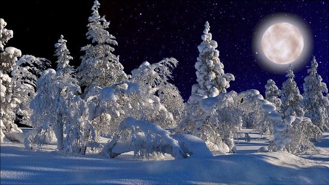 Зимний лес - (футаж)