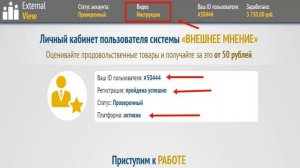 Заработок на оценке продуктов
