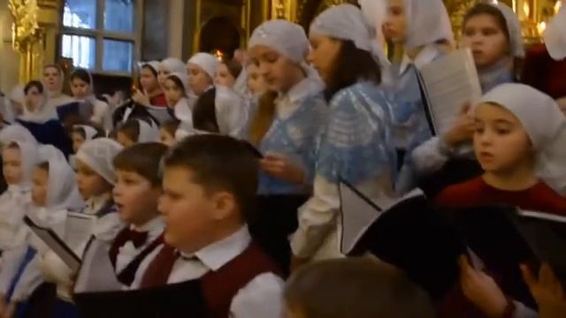 Архиерейская Литургия в Богоявленском кафедральном соборе в Елохове. 2015 год