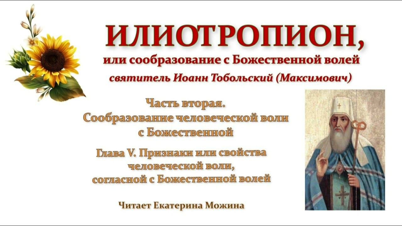 Илиотропион. Часть 2, глава 5