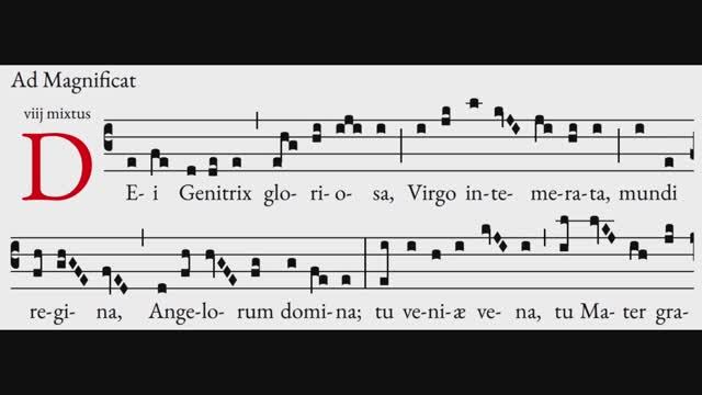 Dei Genitrix gloriosa. De Consolatione