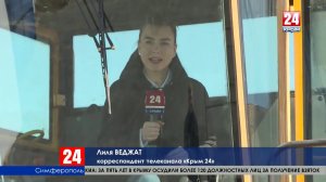 Компостирование органики из ТБО/ТКО в Симферополе.