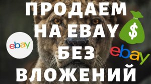 Как Продавать на Ebay с НУЛЯ / Обзор Новых Продаж / E-commerce💰