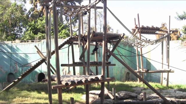 Lens: Зоопарк Тель-Авива и сафари-парк, 2017 г.