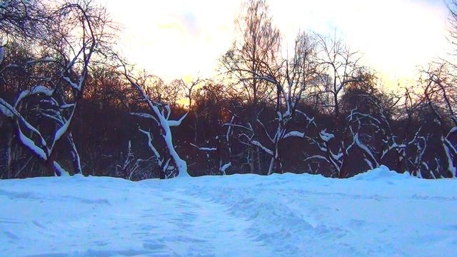 Медитация 169