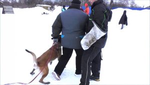 Еранга с Кордона (Классик Аллерт Ягор - Жесть)