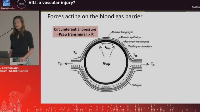 VILI vascular injury N Juffermfns (ESICM 23)