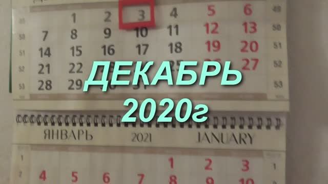Страницы 2020 12 1. Серия 37-я