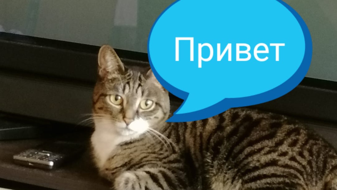 Выходные/ закупка/ накупили вкусняшек, пробуем