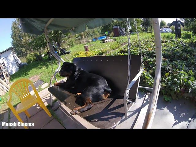 Ремонт напольного вентилятора и дачных качелей пока все спят