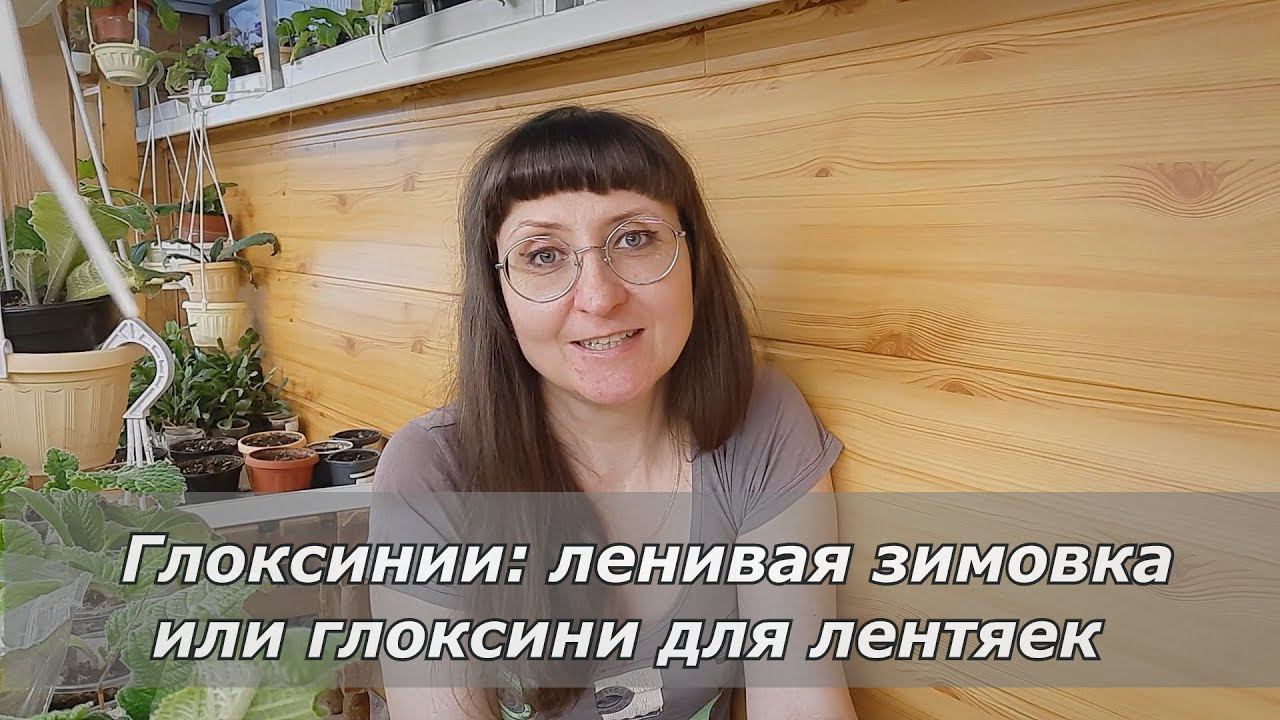 Глоксинии - ленивая зимовка