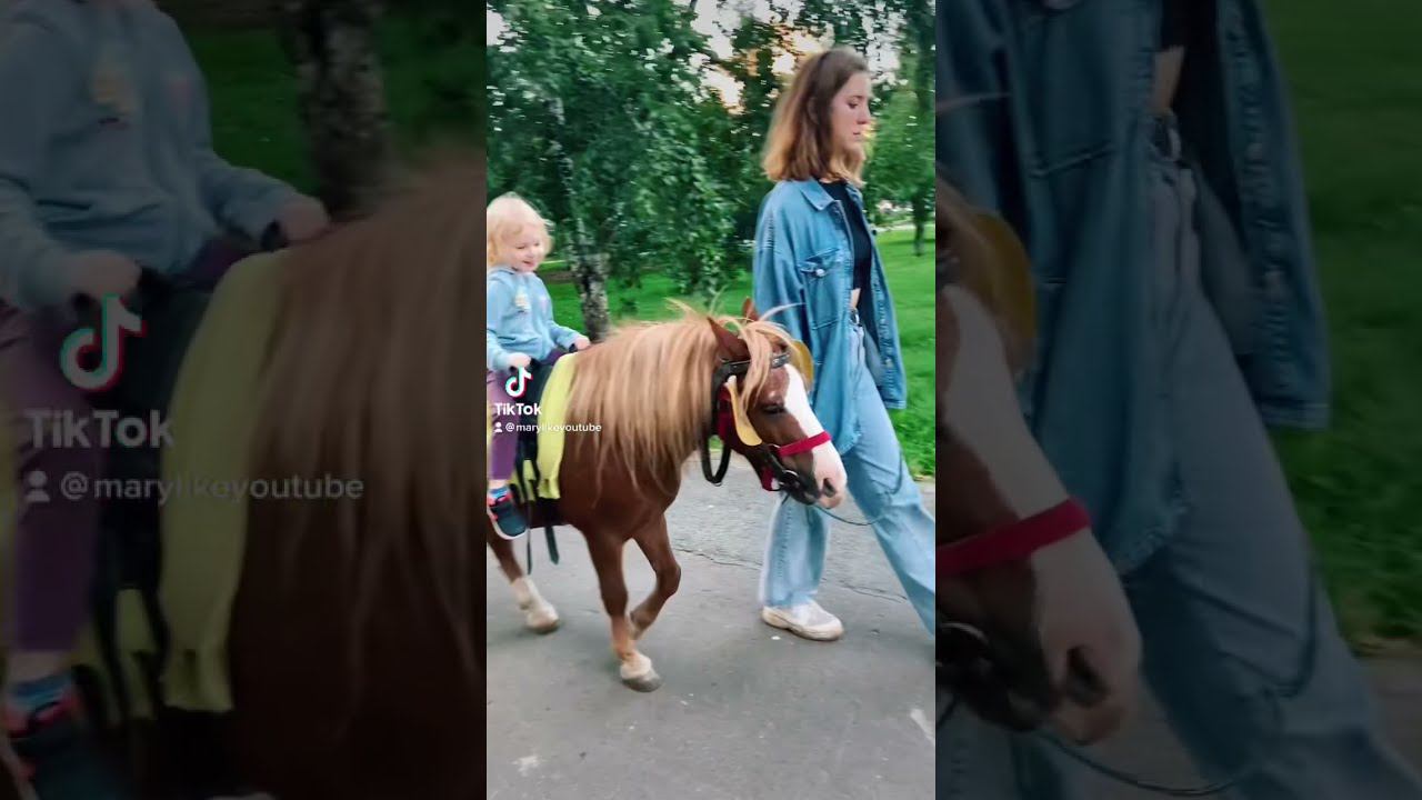 Маша едет!
