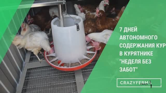 КАК уехать от КУР НА НЕДЕЛЮ_ Пользуемся современными разработками! Полная автоматизация на 7 ДНЕЙ!