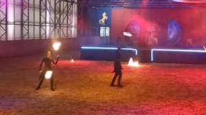 Стражи времени. Конный театр Ларисы Луста.