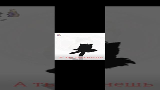 уже второе видео посвящёное глав админу | Мася #квдхуйня #мася