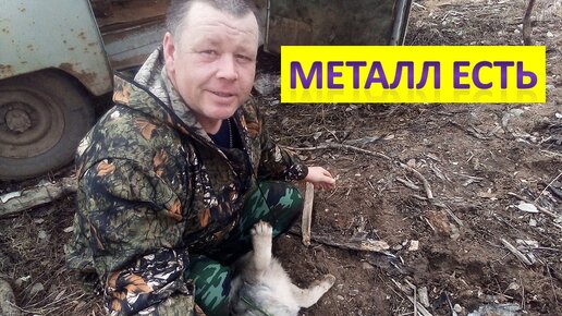 МЕТАЛЛ ЕСТЬ, ЧТО СКРЫВАЮТ СТАРЫЕ ДЕРЕВНИ