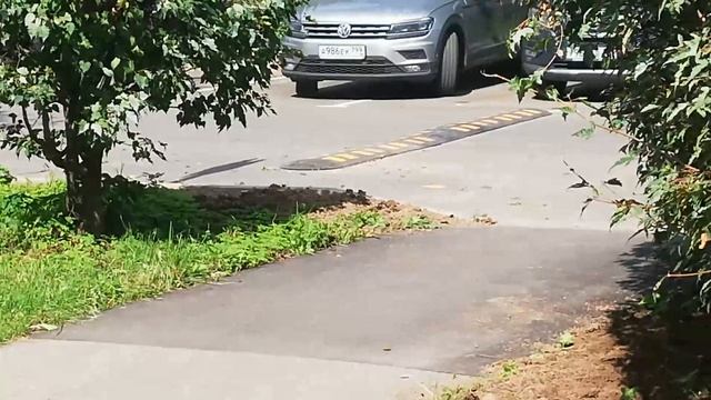 Влог❤️ ППшная вкусняшка