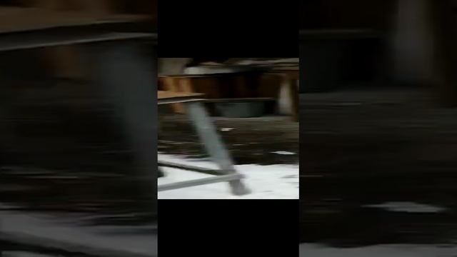 Тузик