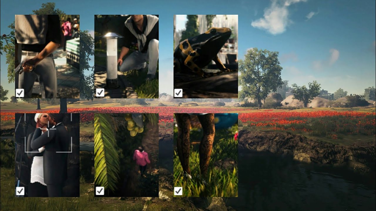 HITMAN 3 Опасность! Опасность!, Лягушачье бегство, Любитель подглядывать Кокосом в тыкву.