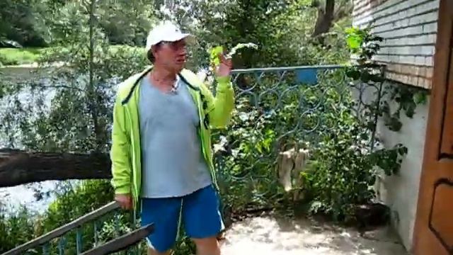 Покорение Горнодубинга, турбаза, горы, дуб, заповедник, Оренбуржье, Горный дуб, природа, Сакмара