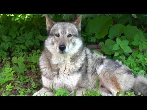 Замена насоса ЭЦВ 6-16-140 на насос ЭЦВ 6-16-190