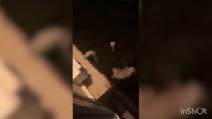 Попробуй не засмеяться! Забавная подборка!😹