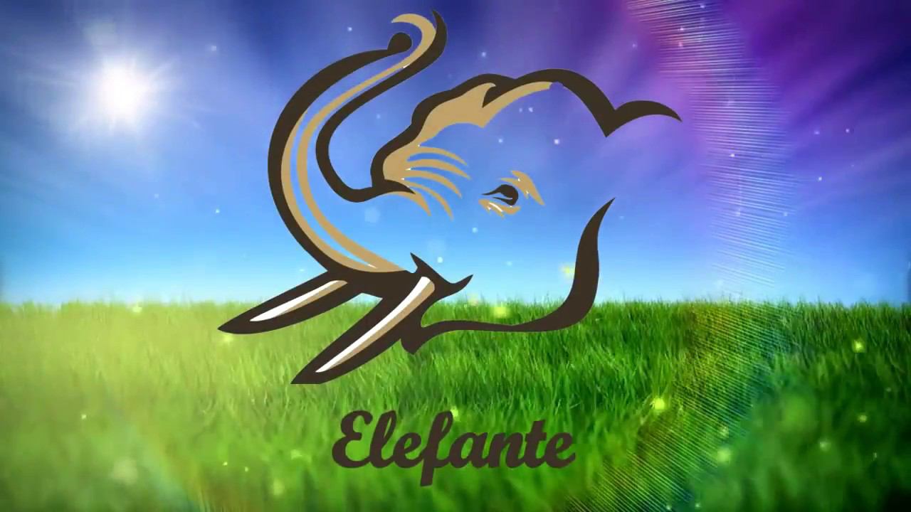 Гидросевная установка «Elefante 400»