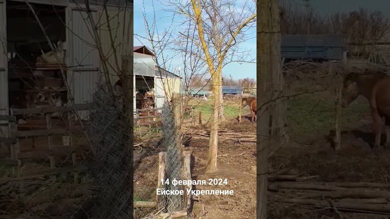 14 февраля 2024 г. Ейское Укрепление