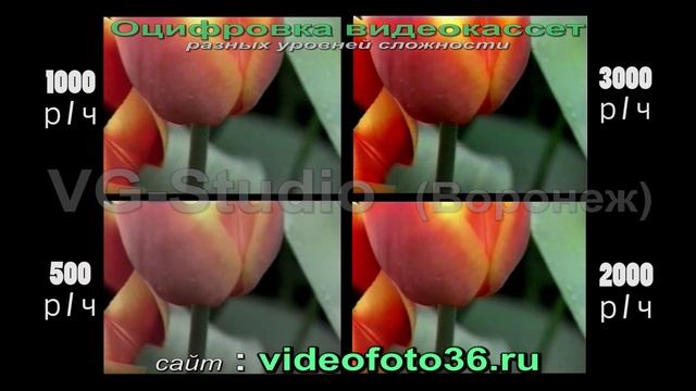Оцифровка видеокассет Воронеж | +79521079973