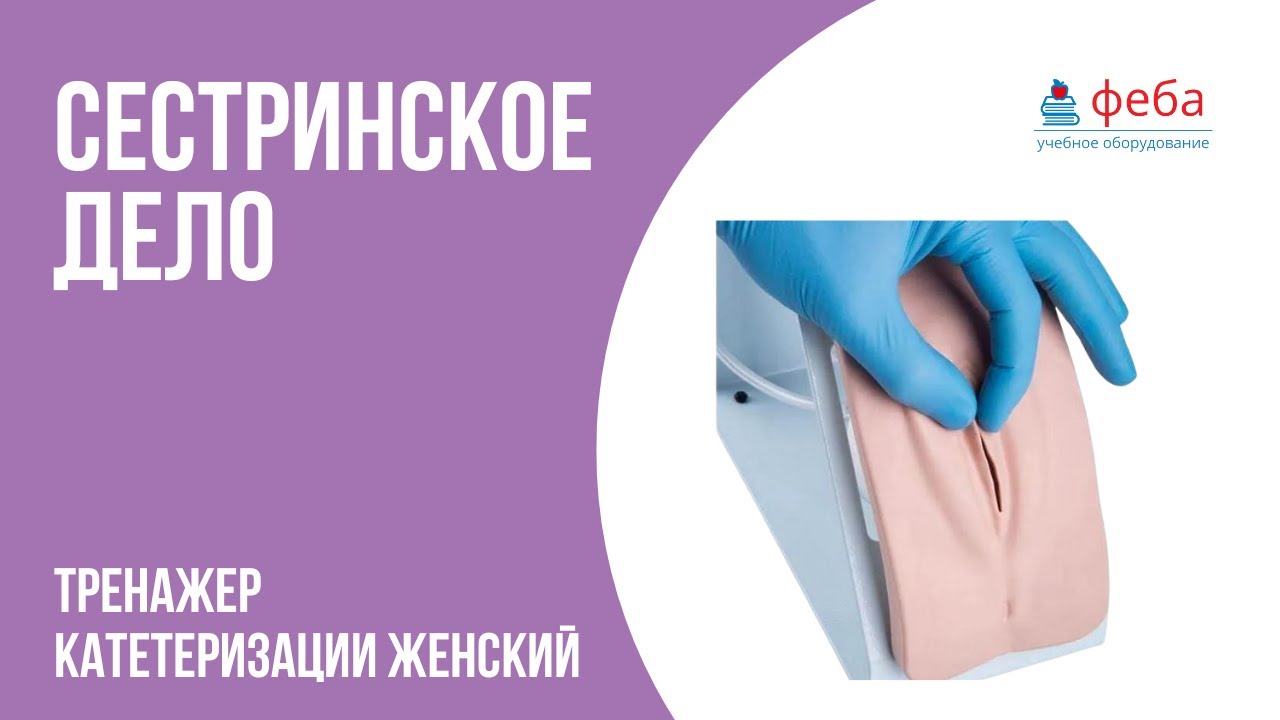 СЕСТРИНСКОЕ ДЕЛО. Симулятор BASIC катетеризации, комплект для мужчин и женщин
