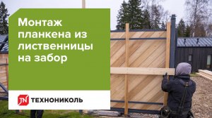 Монтаж планкена из лиственницы на забор