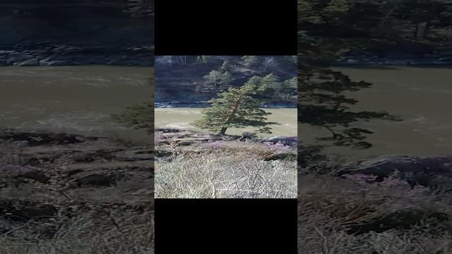 На "козьей тропе".mp4