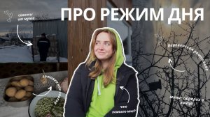РЕЖИМ ДНЯ и попытки его восстановления | Ролик-мотивация