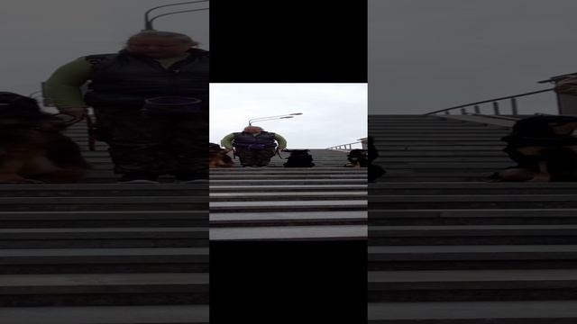 Выход в город7 20230430