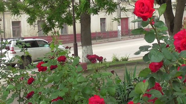 Начало лета в