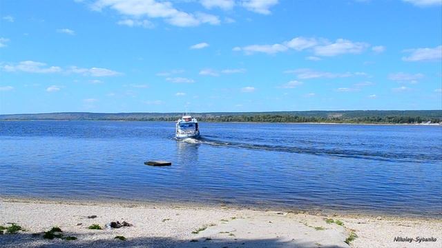 Зольное 2018.