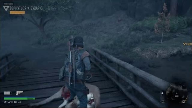 PS 4 Days Gone / Жизнь После Сюжетное работа 8 Мясо Кончается