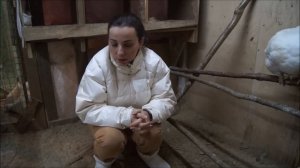 Самые выгодные куры в птичьем хозяйстве!