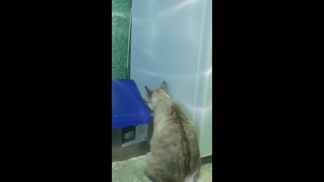 Голод не тетка...