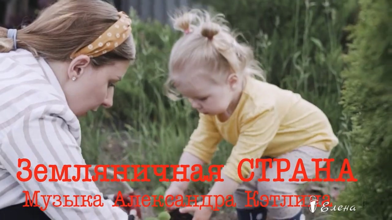 Земляничная страна*