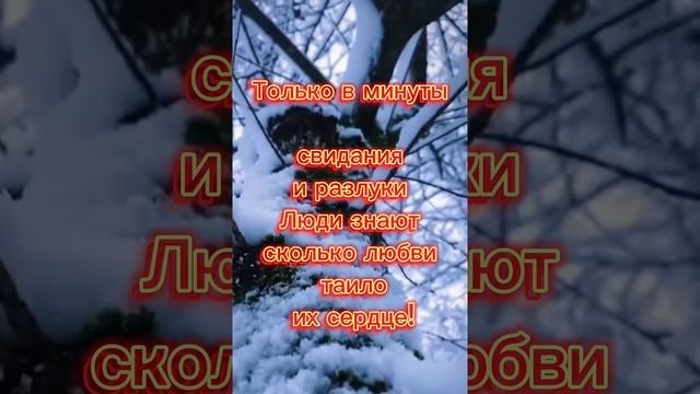 Минуты разлуки