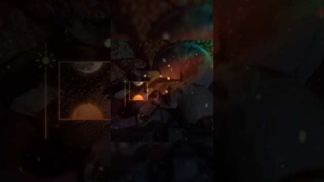 Канадский сфинкс Катя Икс