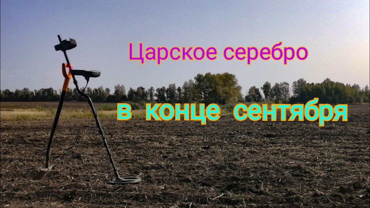Царское серебро в конце сентября.