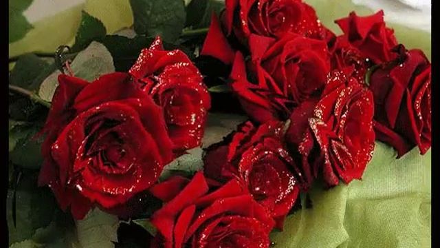 image (28).