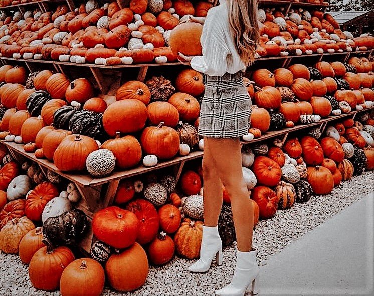 Тыква для современной Золушки