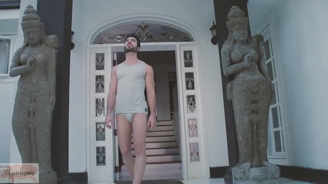 Мирные инвестиции (Peaceful Investitions)